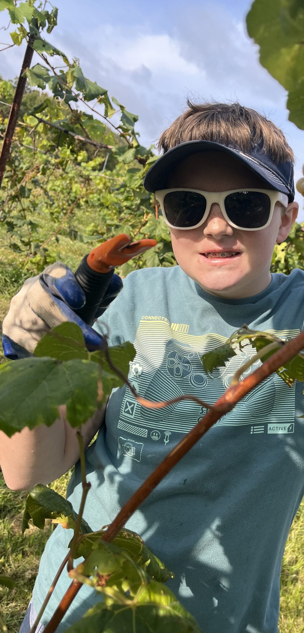 WillowsAwake Winery – Winery, Vineyard and Eatery in Leeds Maine